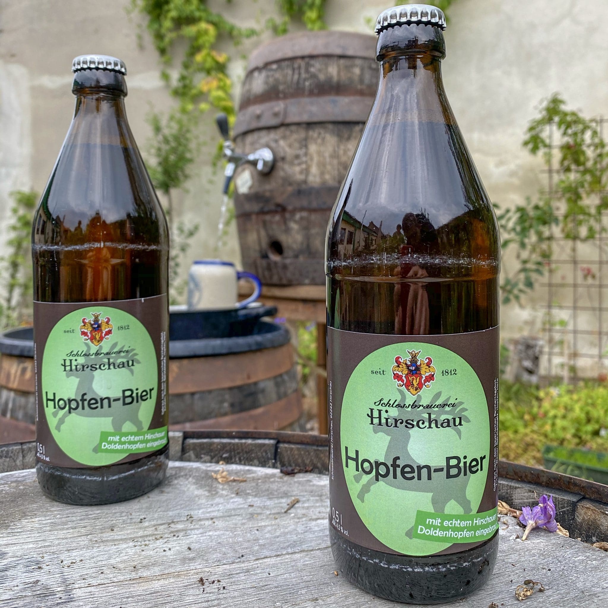Hirschauer Hopfen-Bier aus der Ernte 2019 – Schlossbrauerei Hirschau
